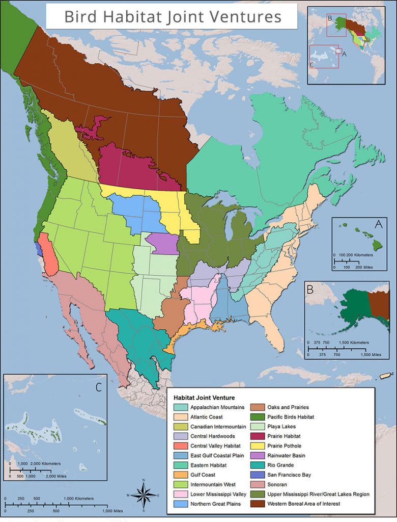 Bird Habitat Joint Ventures Map - Pacific Birds Habitat Joint Venture